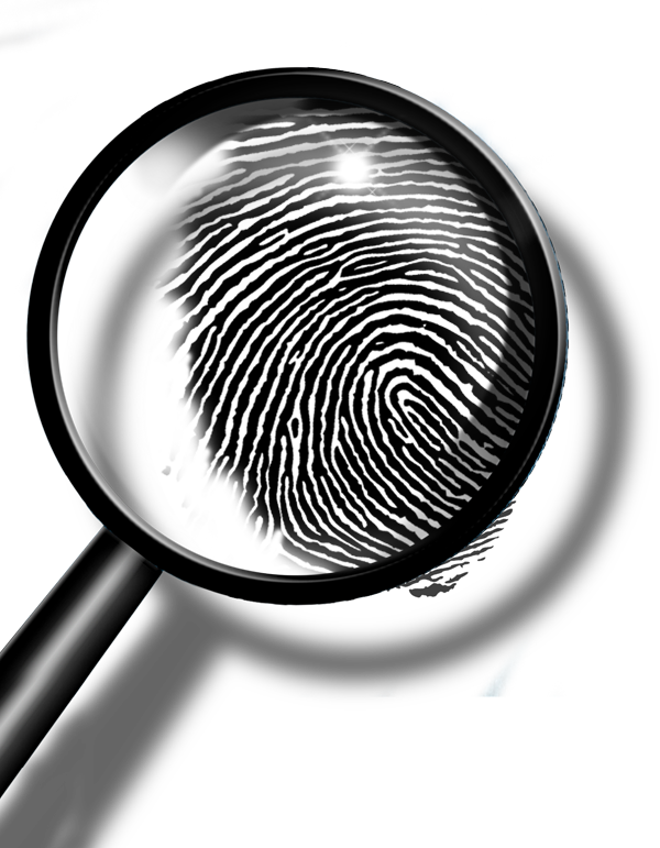 McFarland Historical Baseball Library - McFarland